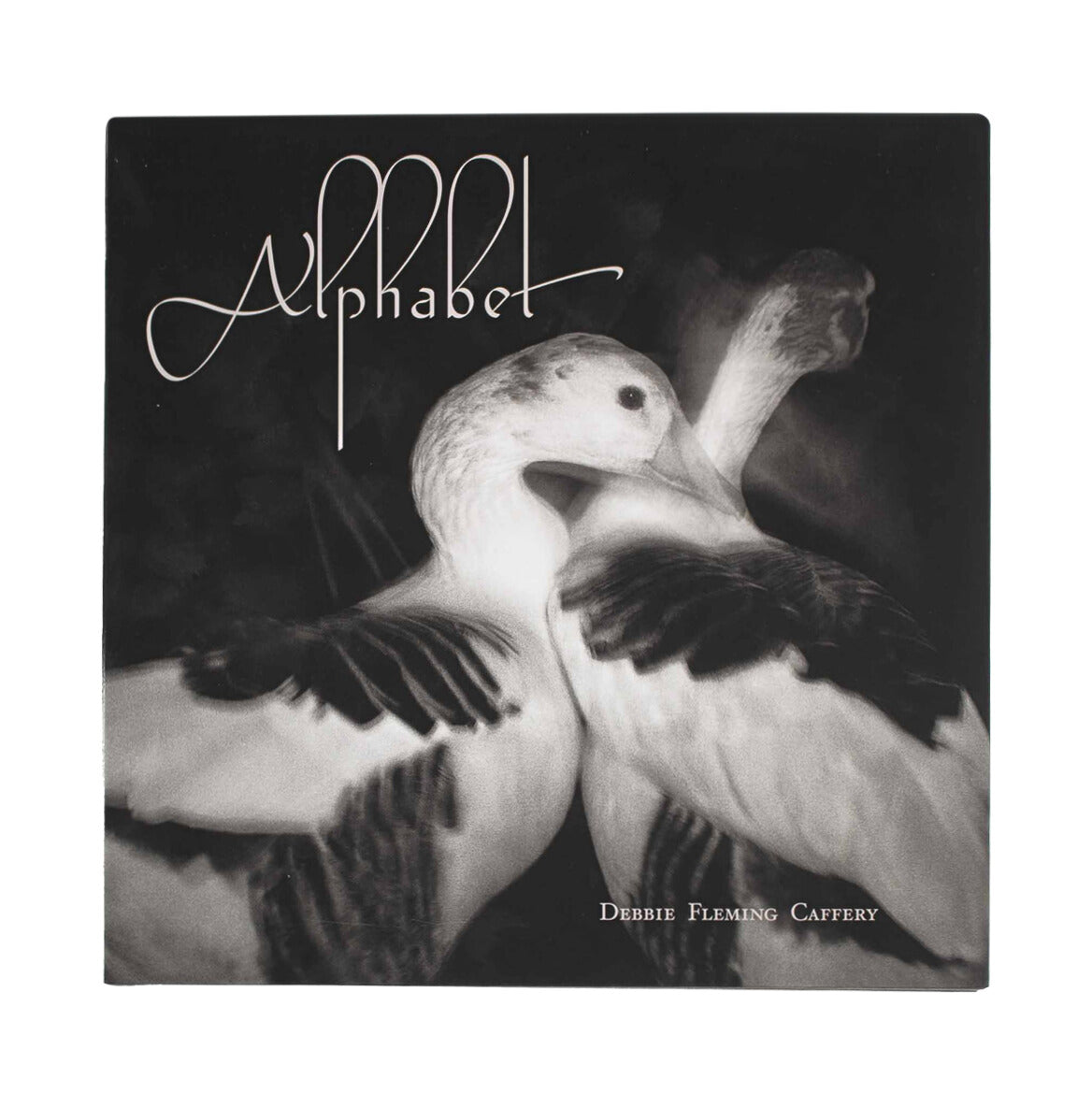 Alphabet – New Orleans Museum of Art Shop